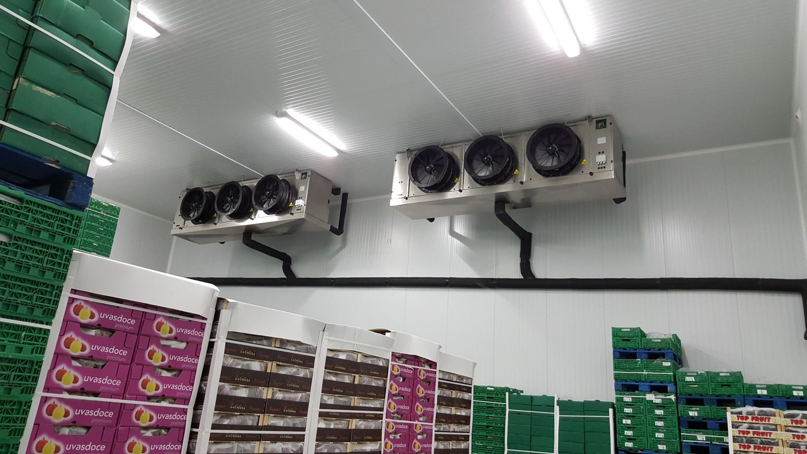 Chillers with HFO for food industry | Geoclima